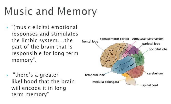 The Symphony Of Our Lives: How Music Shapes Us - eLyrics